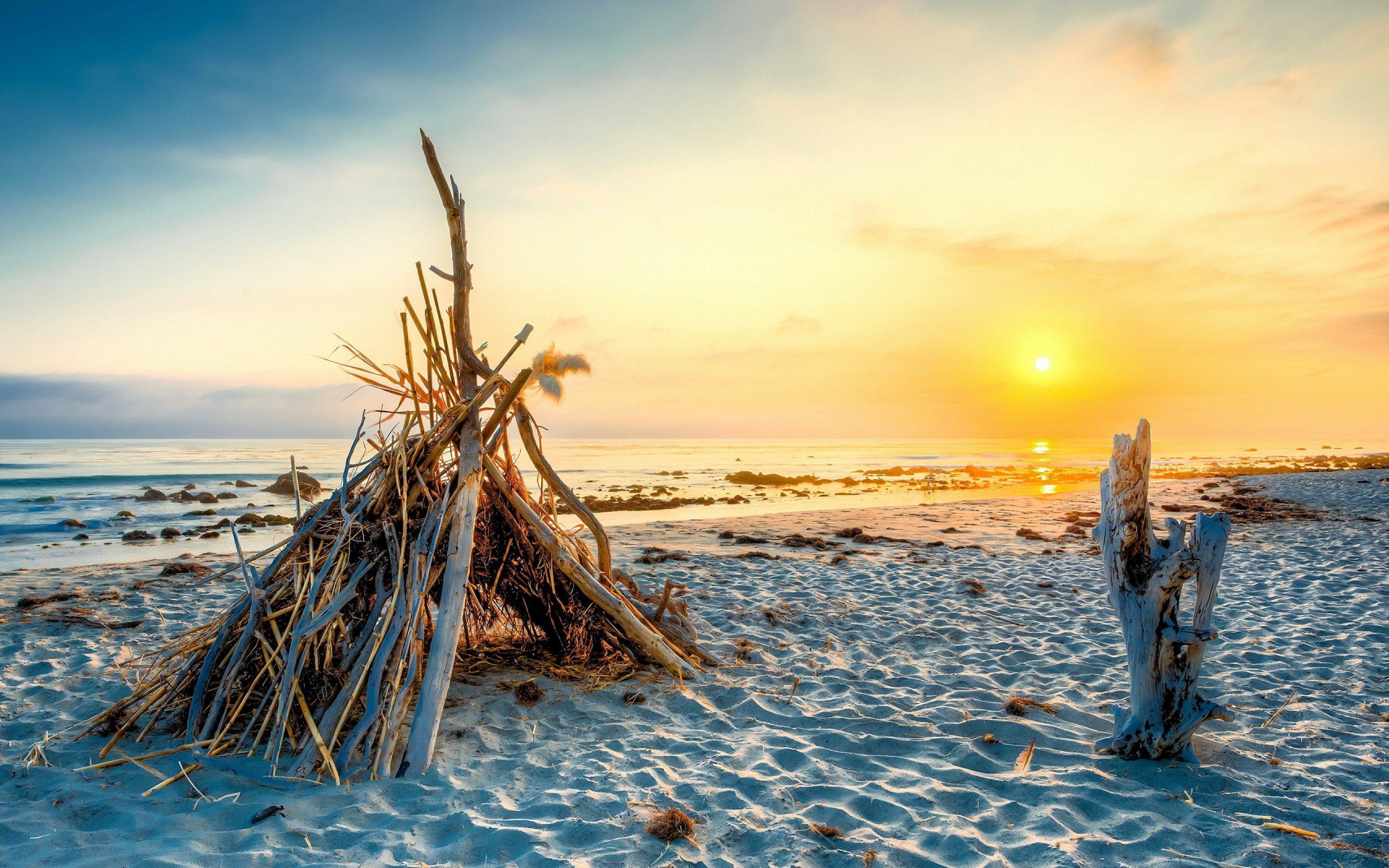 Beach Forest Wallpapers - Top Free Beach Forest Backgrounds ...