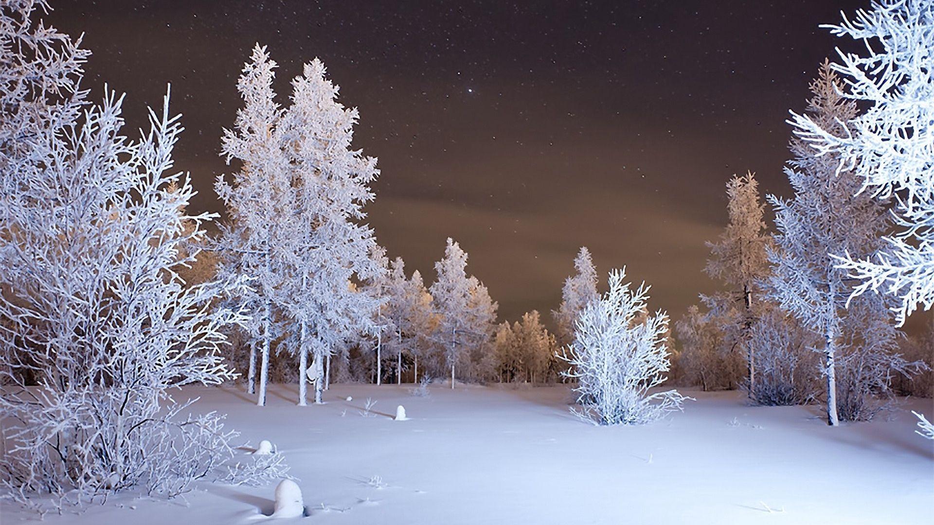 Snow Forest 1920X1080 Wallpapers - Top Free Snow Forest 1920X1080 ...