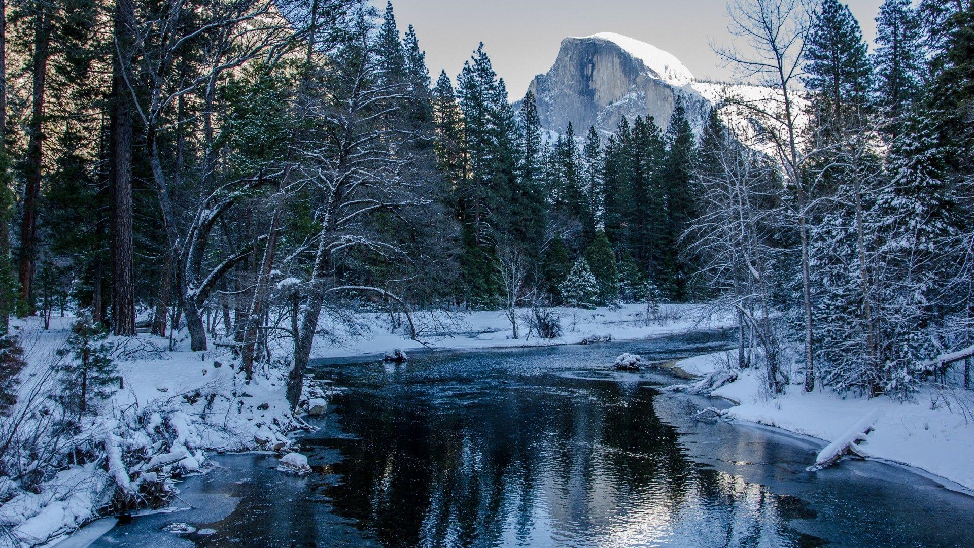Snow Forest 1920X1080 Wallpapers - Top Free Snow Forest 1920X1080 ...