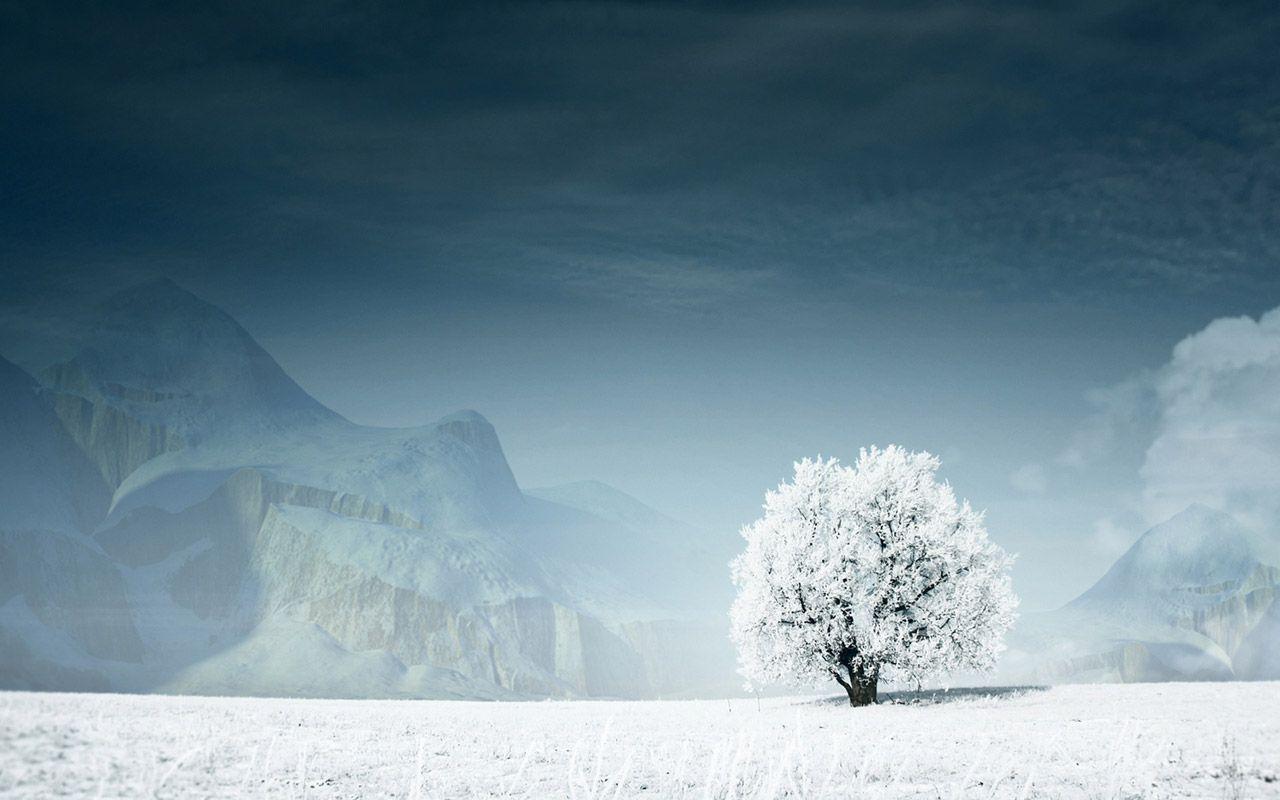 Green Winter Wallpapers - Top Free Green Winter Backgrounds ...