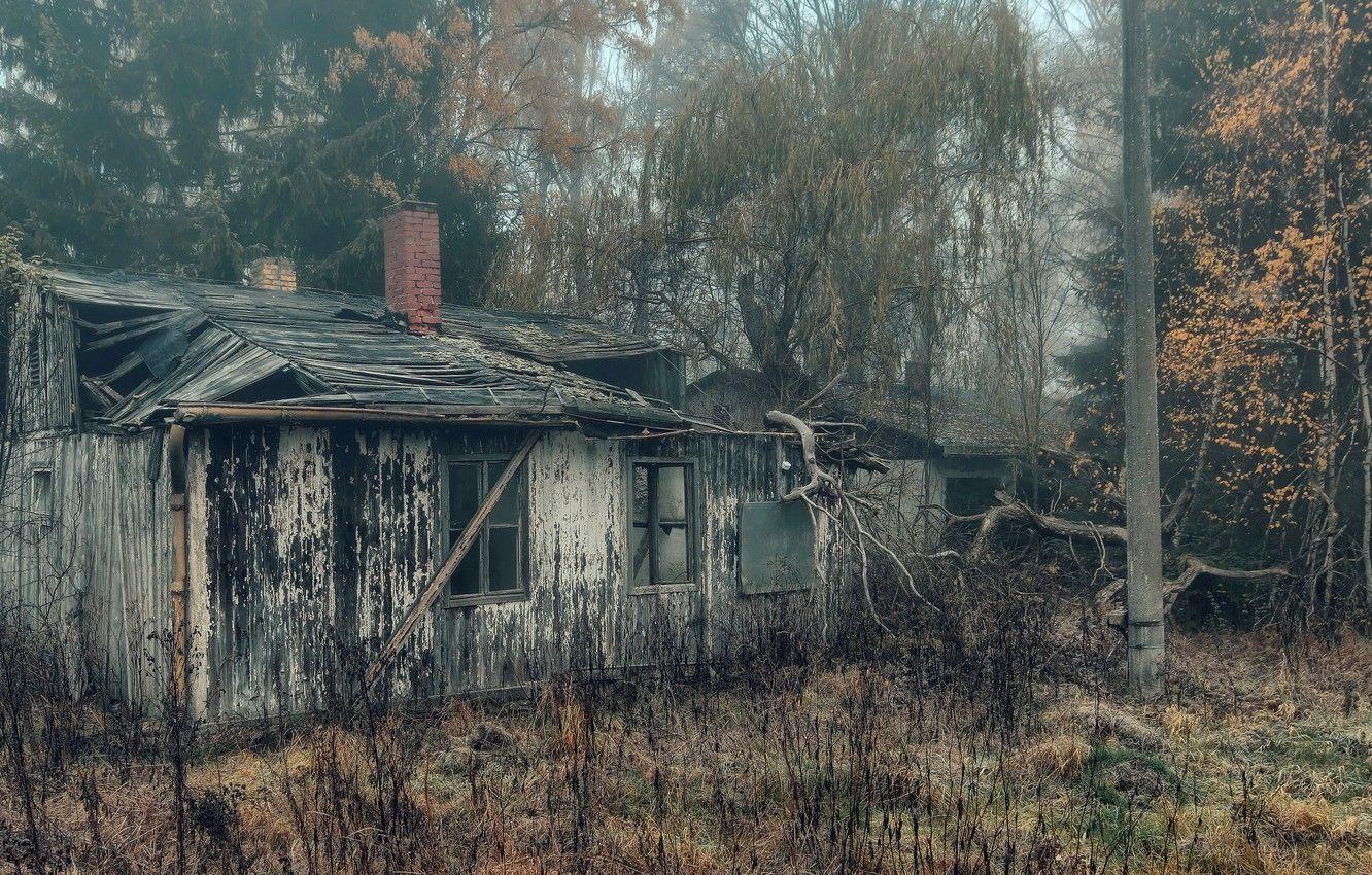 Naturalistic Wallpapers - Top Free Naturalistic Backgrounds ...