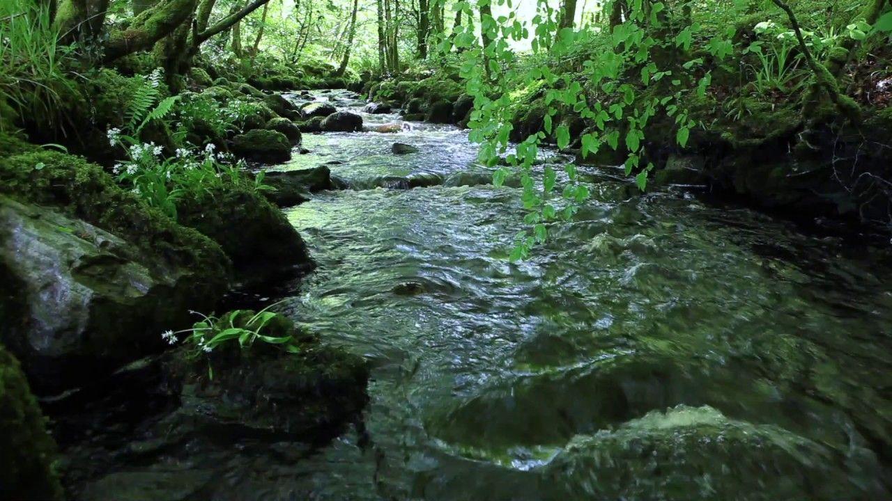 Naturalistic Wallpapers - Top Free Naturalistic Backgrounds ...