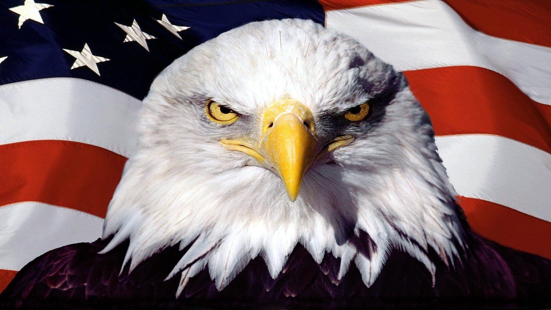 Cool USA Flag Eagle Wallpapers - Top Free Cool USA Flag Eagle ...
