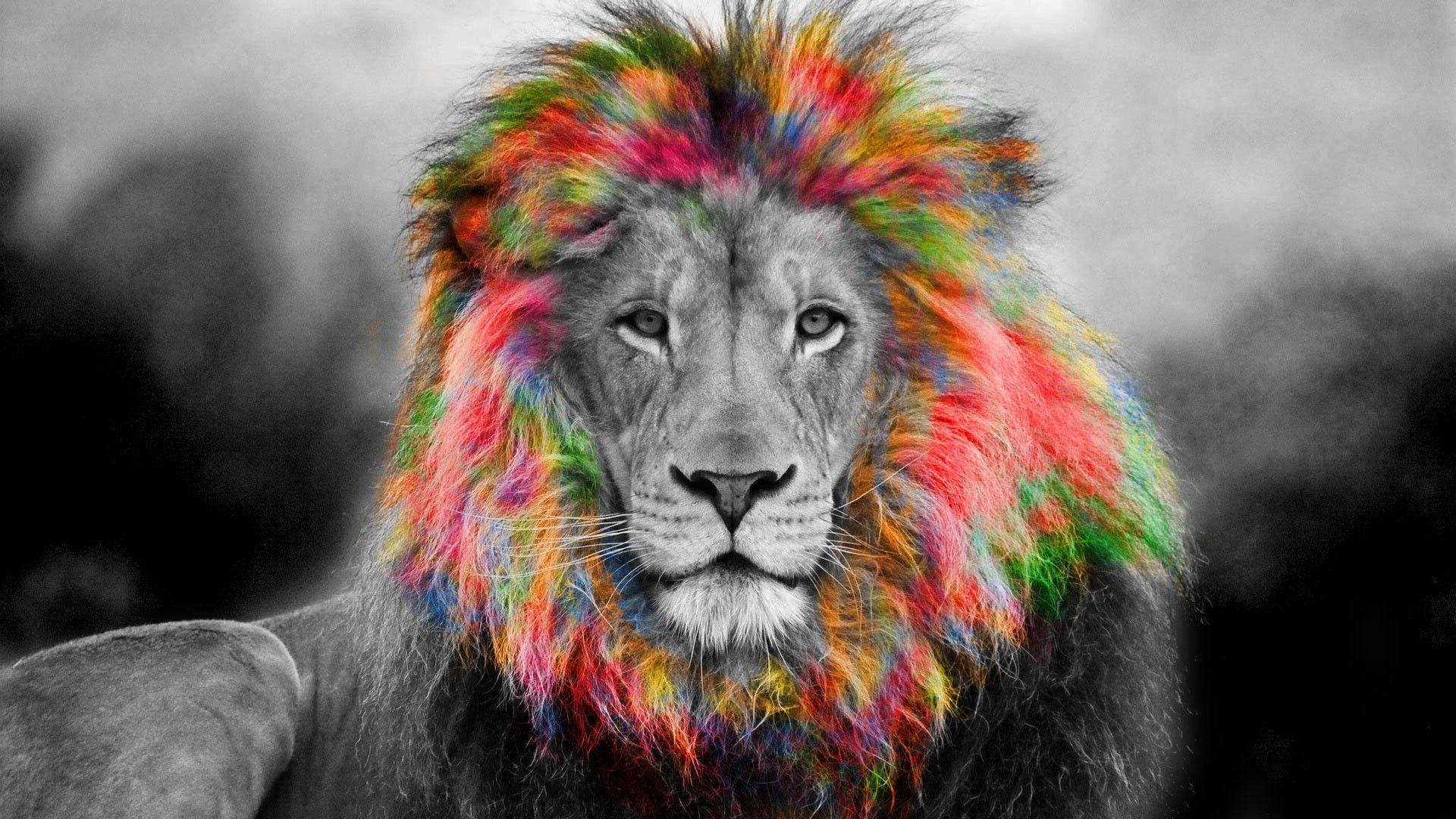 Cool Rainbow Lion Wallpapers - Top Free Cool Rainbow Lion Backgrounds ...
