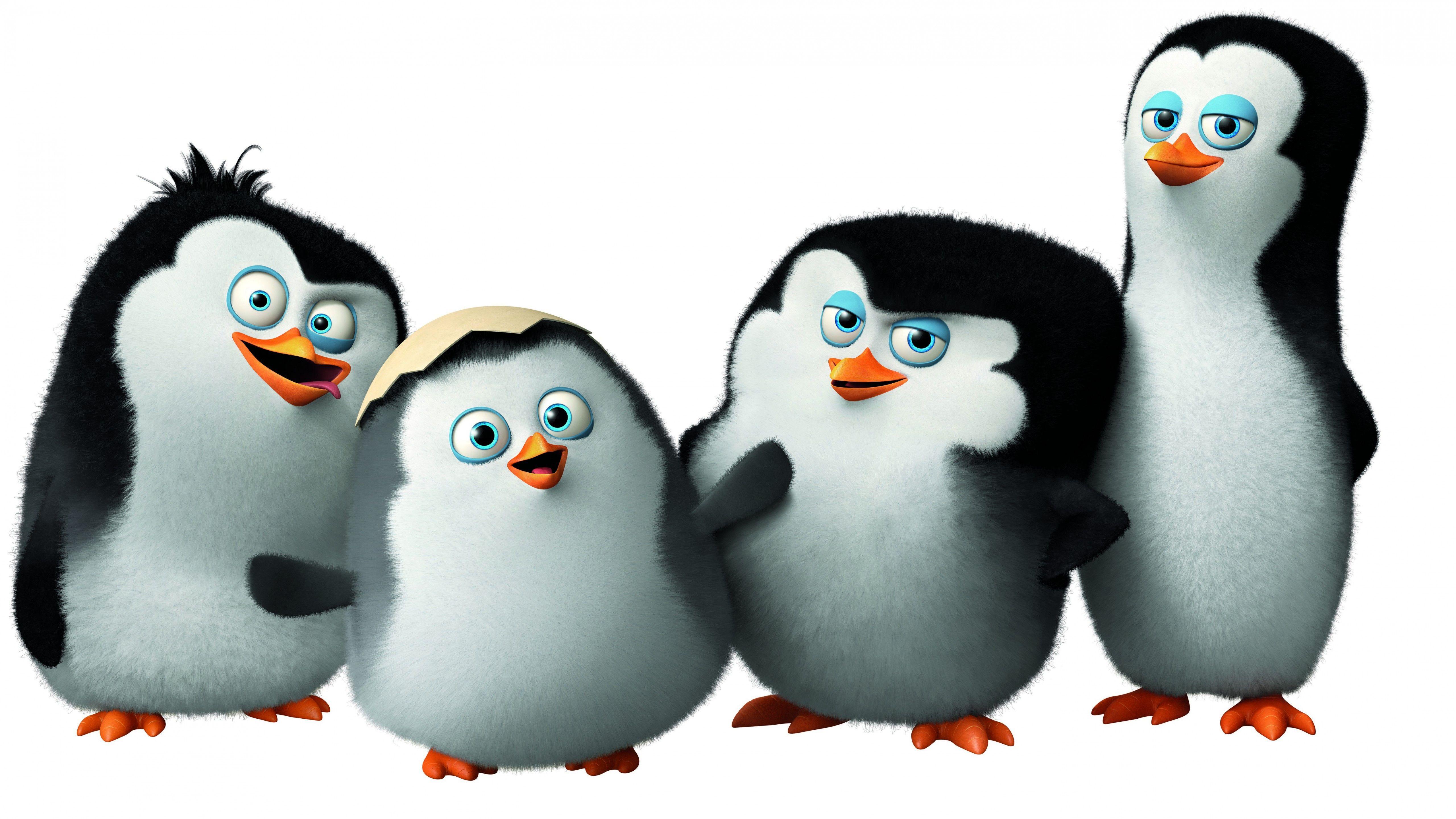 Cute Penguin Cartoon Wallpapers - Top Free Cute Penguin Cartoon ...