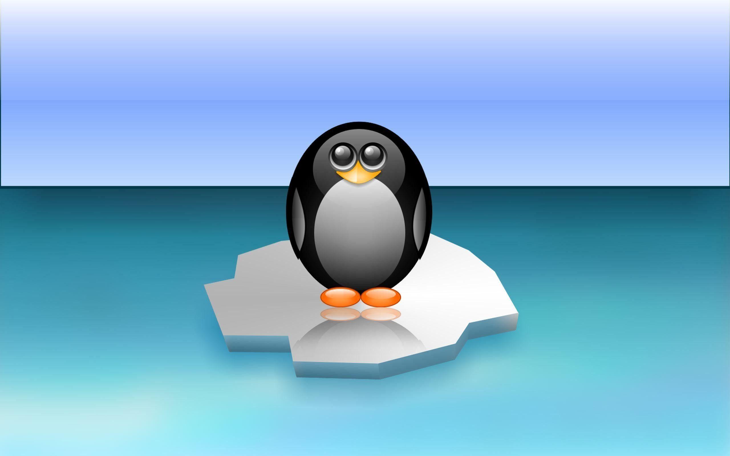 Penguin Cartoon Wallpapers - Top Free Penguin Cartoon Backgrounds ...