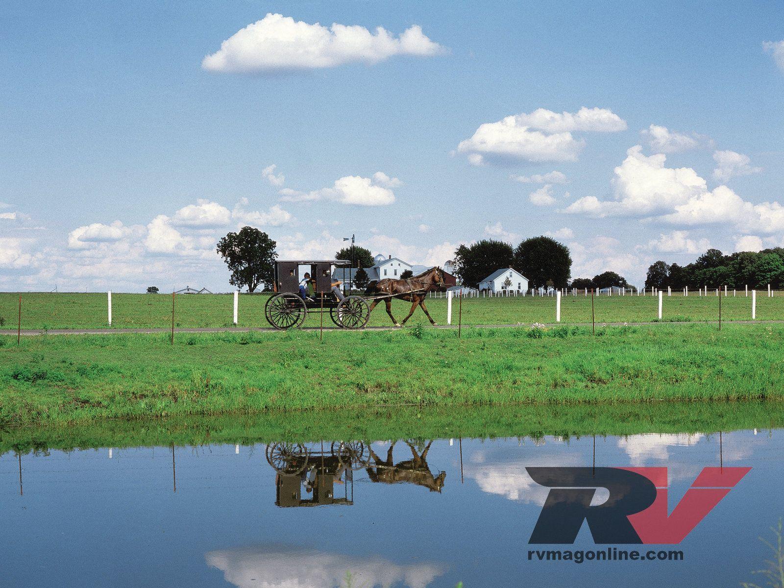 Can Amish Hunt Year Around - EMSEKFLOL.COM