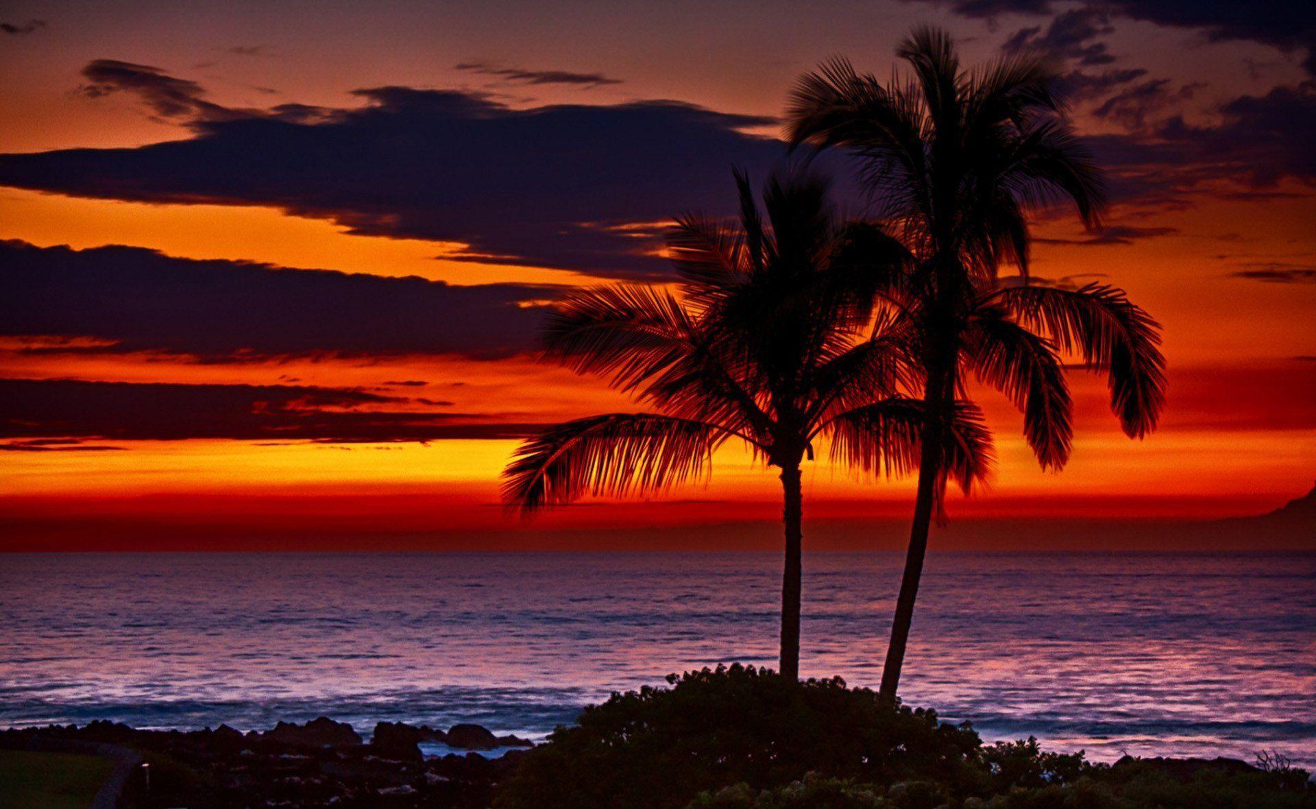 North Shore Oahu Wallpapers - Top Free North Shore Oahu Backgrounds ...