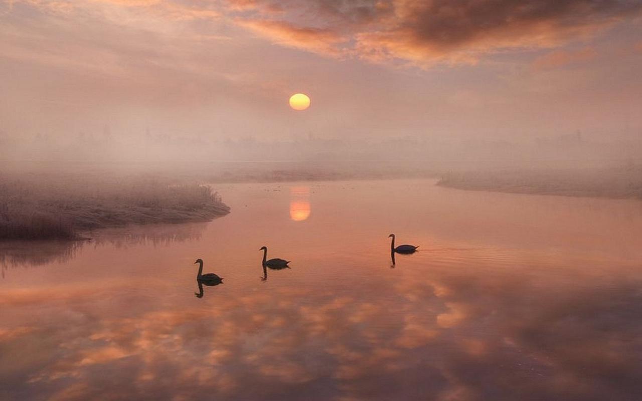 Misty Morning Wallpapers - Top Free Misty Morning Backgrounds ...