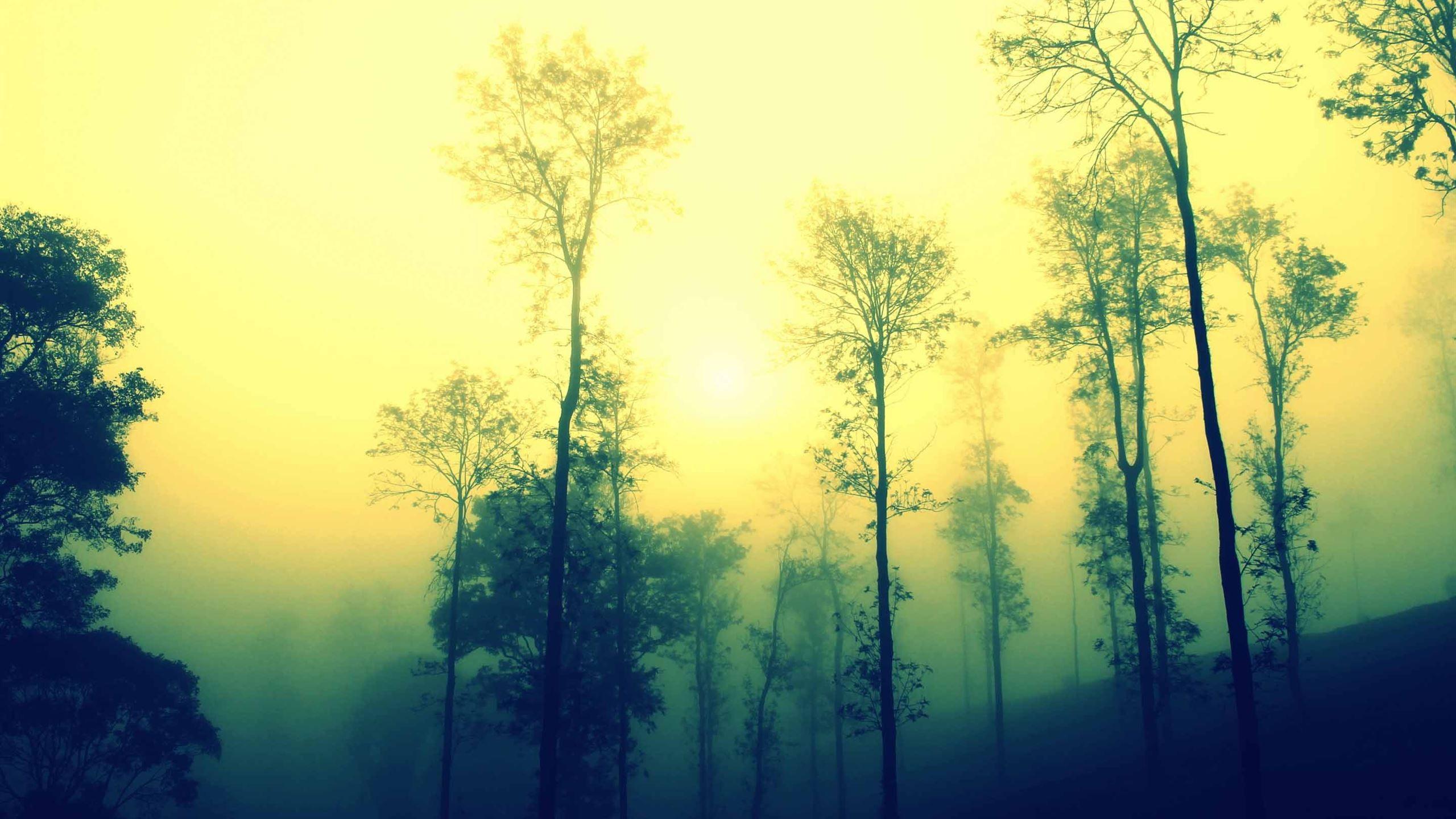 Misty Morning Wallpapers - Top Free Misty Morning Backgrounds ...