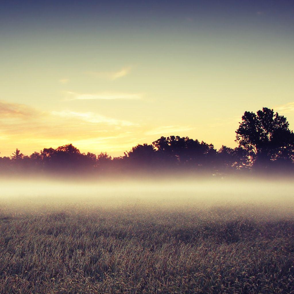 Misty Morning Wallpapers - Top Free Misty Morning Backgrounds ...