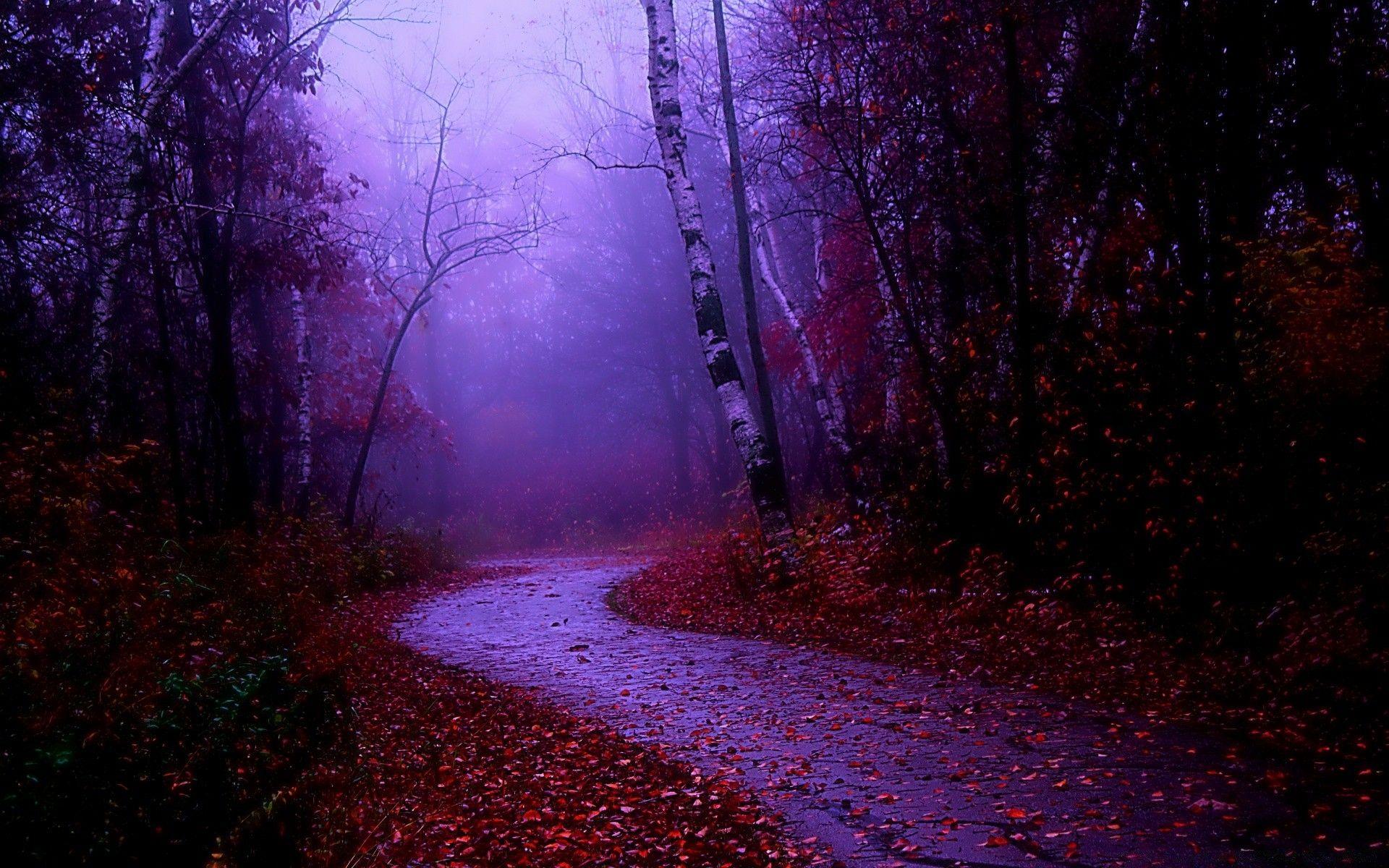 Misty Morning Wallpapers - Top Free Misty Morning Backgrounds ...