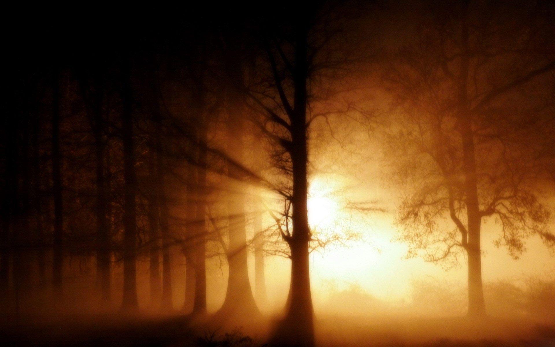 Misty Morning Wallpapers - Top Free Misty Morning Backgrounds ...