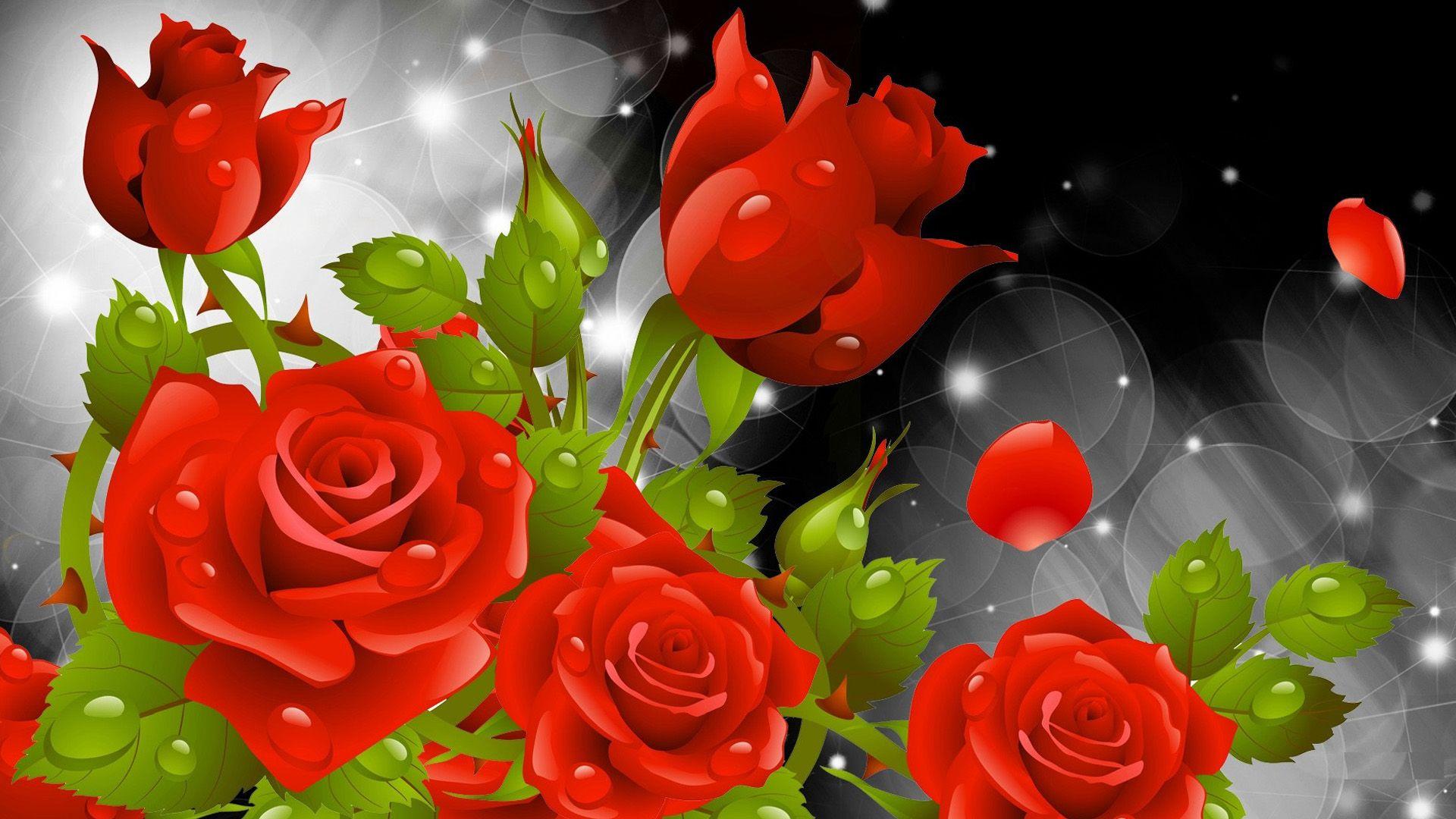 Full HD Rose Wallpapers - Top Free Full HD Rose Backgrounds ...