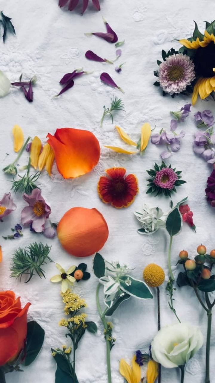 Huawei Flower Wallpapers - Top Free Huawei Flower Backgrounds ...