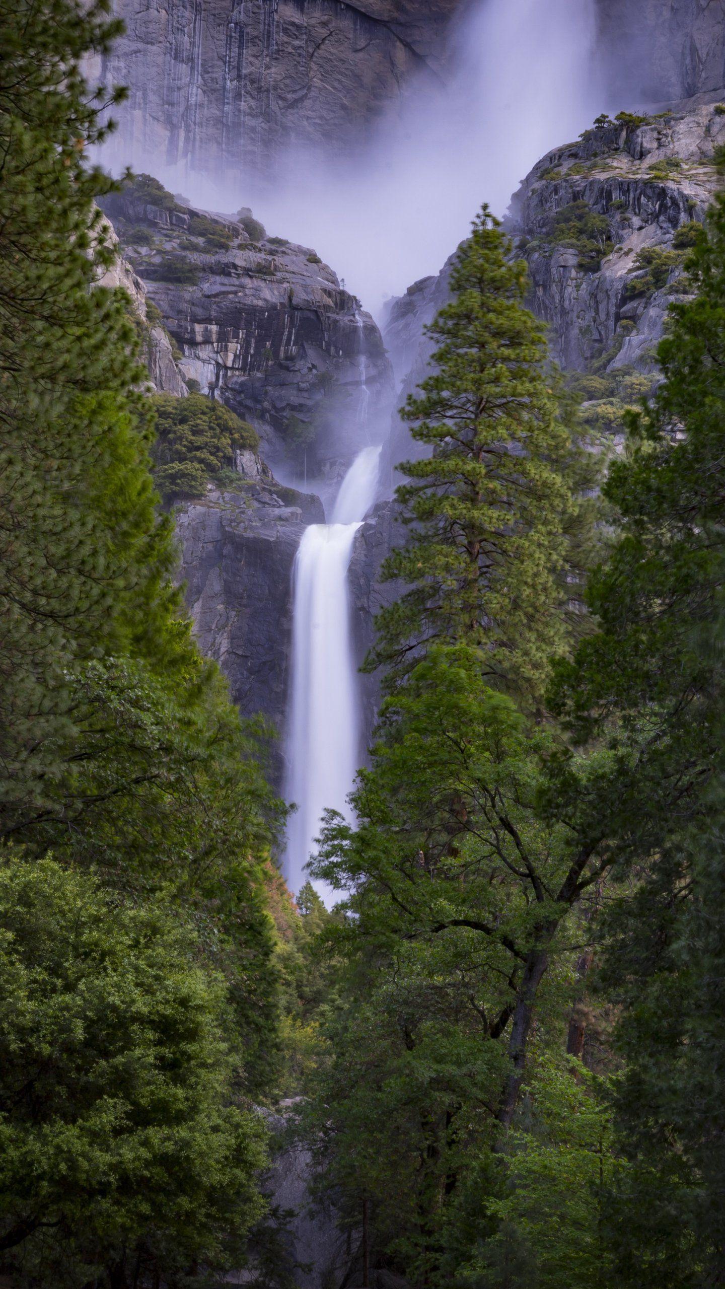 Forest Waterfall Desktop Wallpapers - Top Free Forest Waterfall Desktop ...