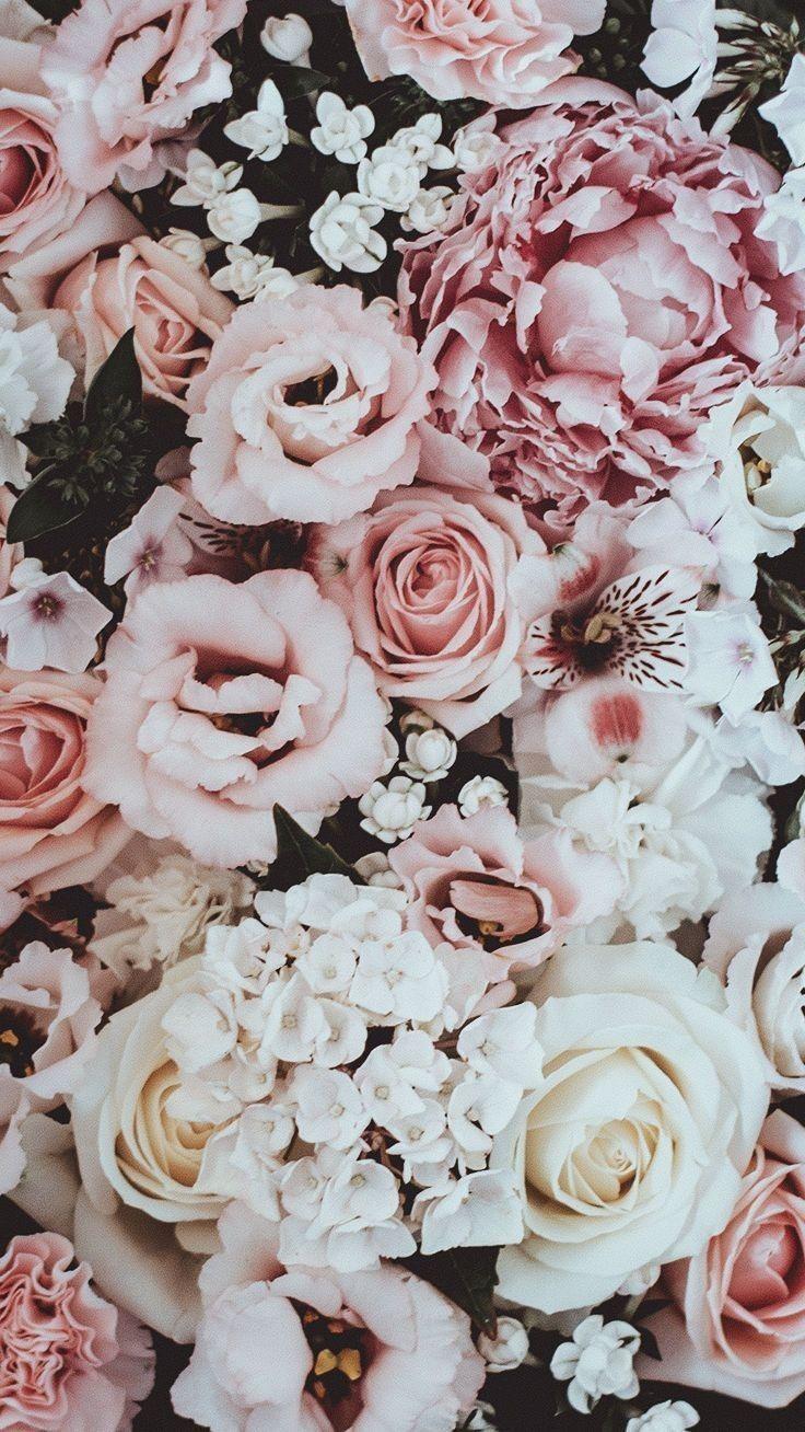 Huawei Flower Wallpapers - Top Free Huawei Flower Backgrounds ...