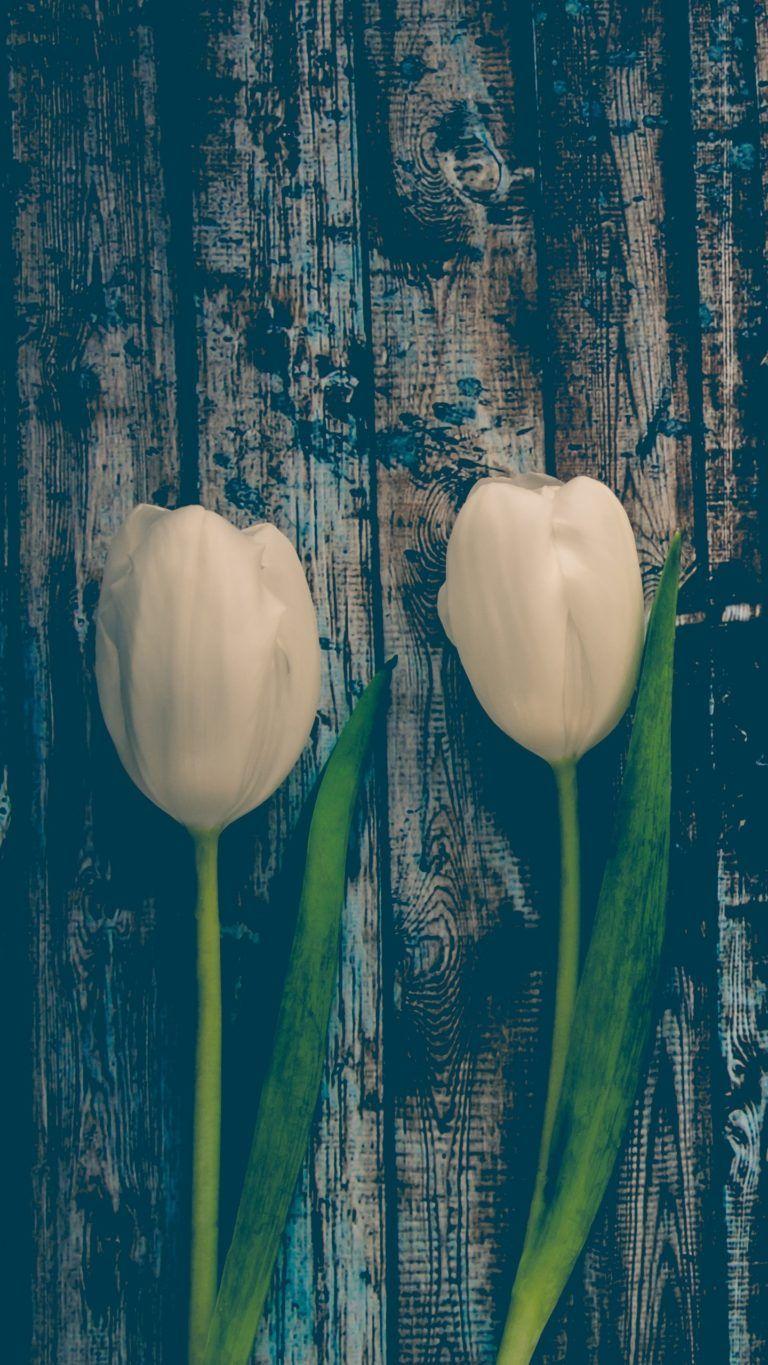 Huawei Flower Wallpapers - Top Free Huawei Flower Backgrounds ...