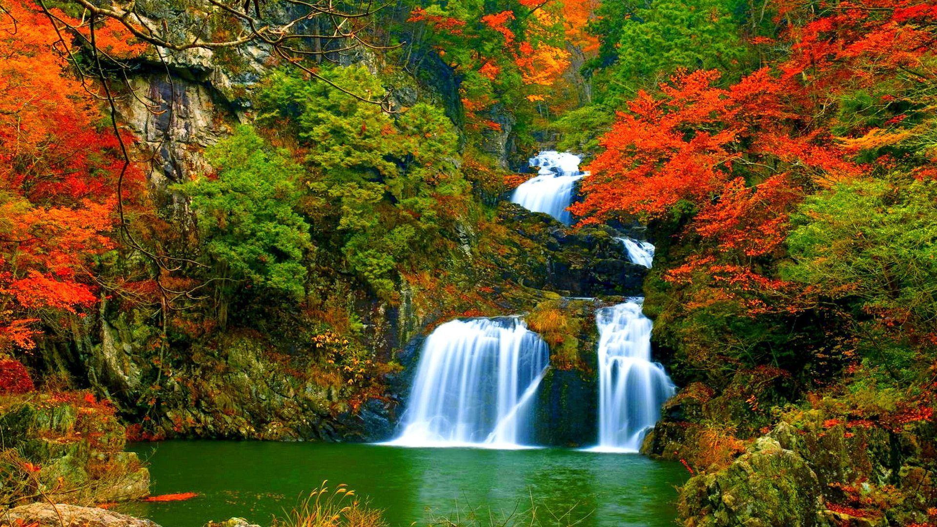 Forest Waterfall Desktop Wallpapers - Top Free Forest Waterfall Desktop ...