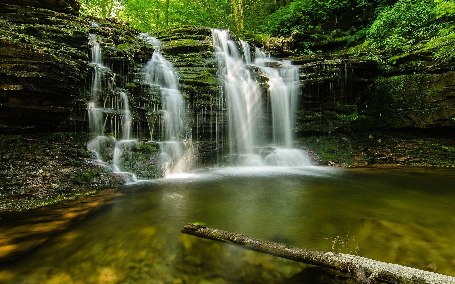Forest Waterfall Desktop Wallpapers - Top Free Forest Waterfall Desktop ...