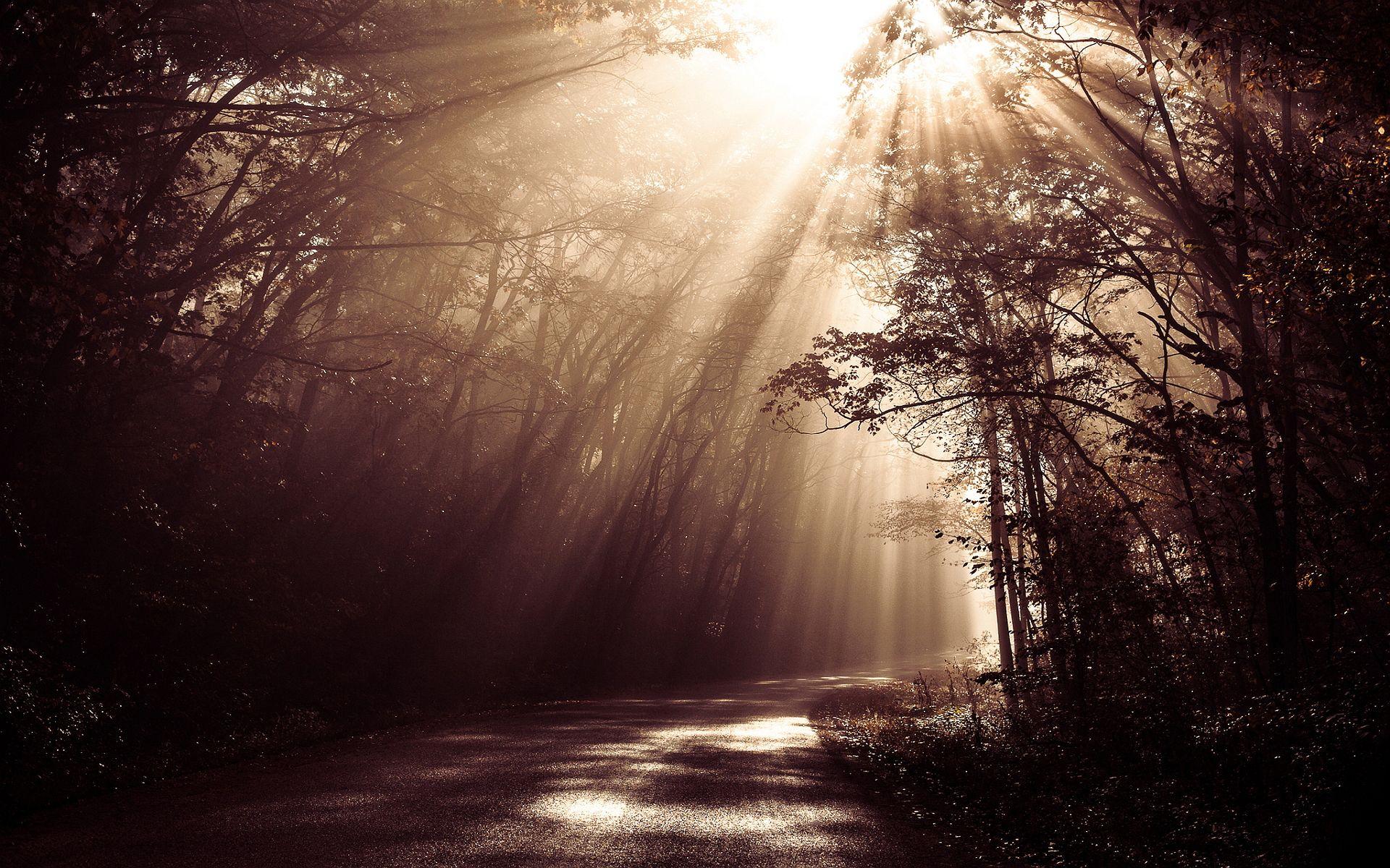 Enchanted Sky Wallpapers - Top Free Enchanted Sky Backgrounds ...