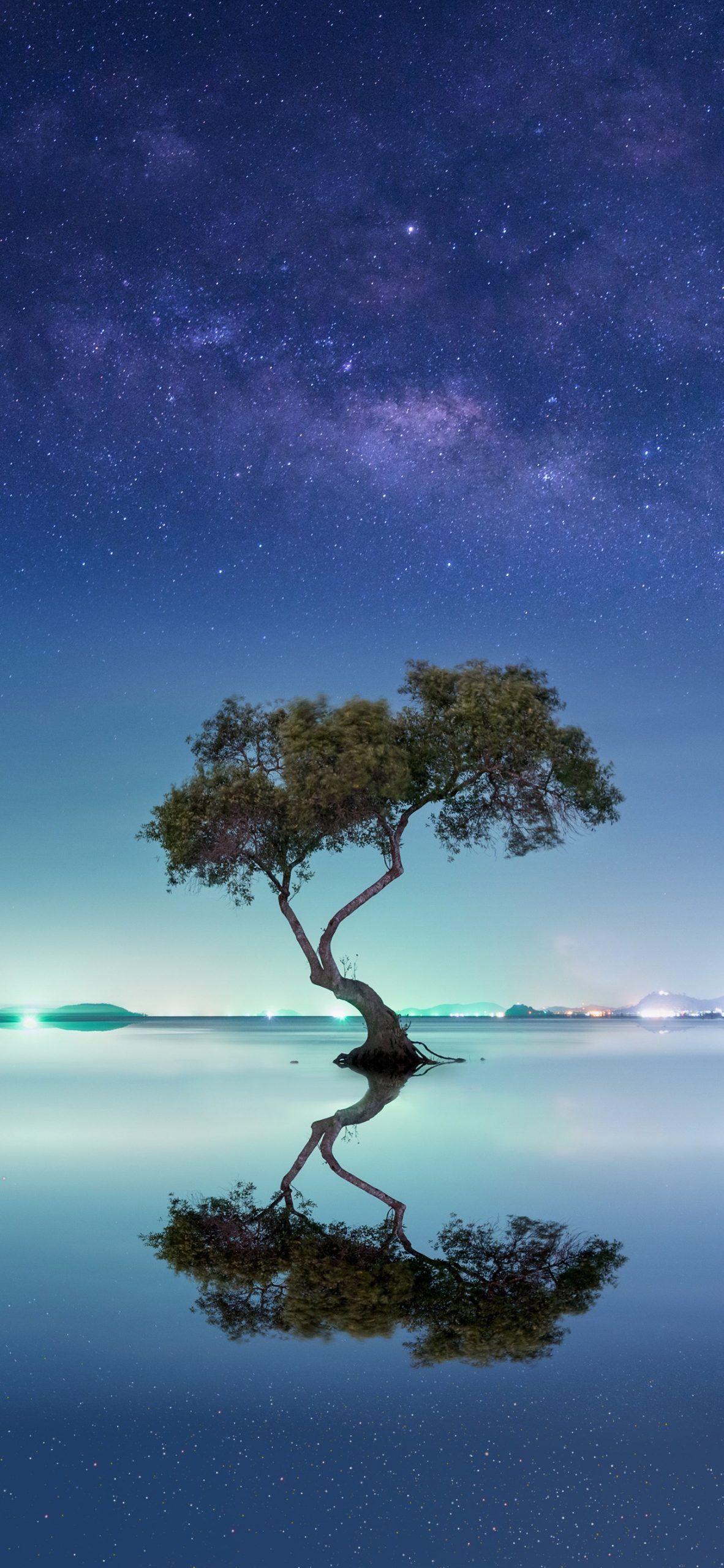 Enchanted Sky Wallpapers - Top Free Enchanted Sky Backgrounds ...