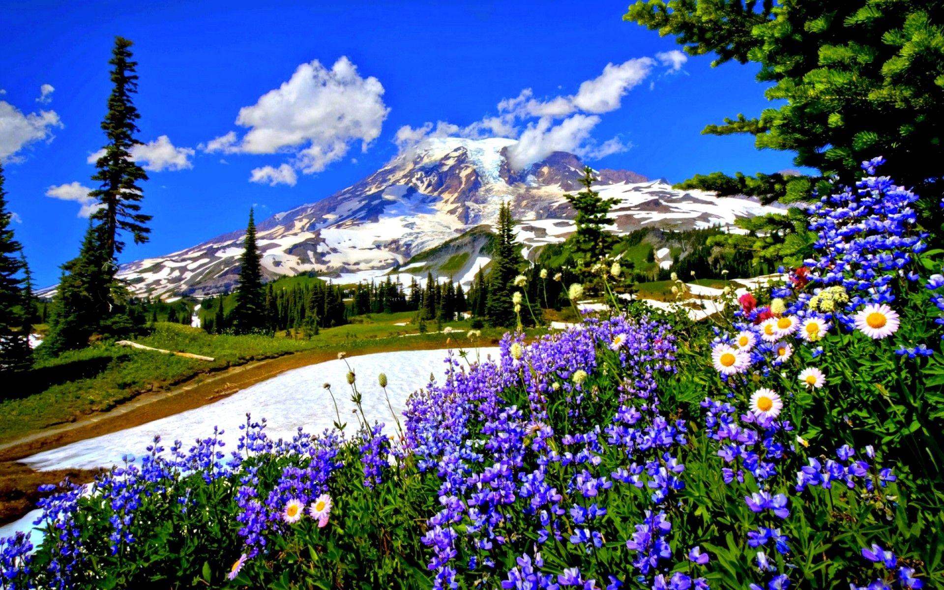 Beautiful Spring Scenery Wallpapers - Top Free Beautiful Spring Scenery ...