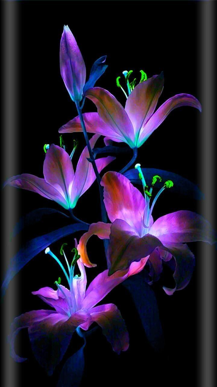 Pretty Flower Phone Wallpapers - Top Free Pretty Flower Phone ...
