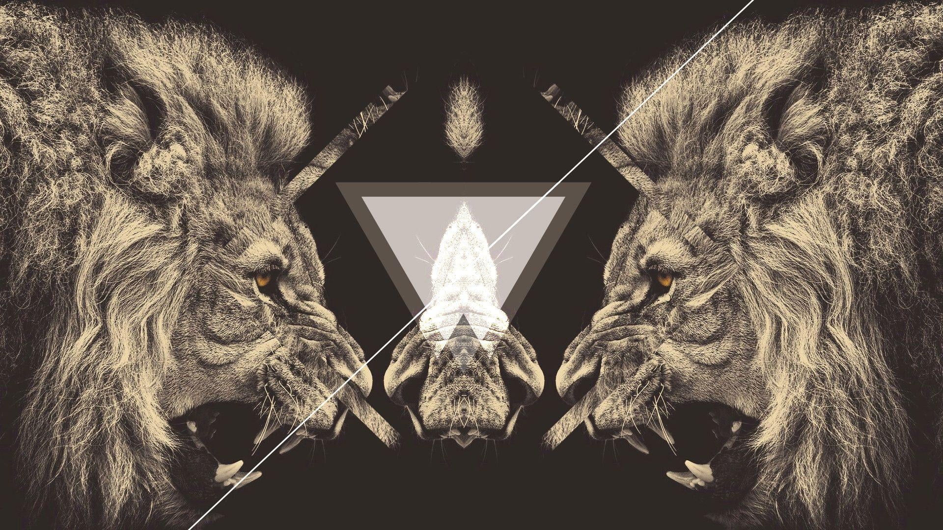 Hipster MacBook Wallpapers - Top Free Hipster MacBook Backgrounds ...
