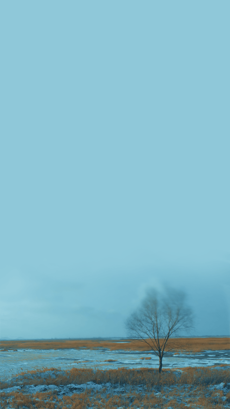 Spring Day Wallpapers - Top Free Spring Day Backgrounds - WallpaperAccess