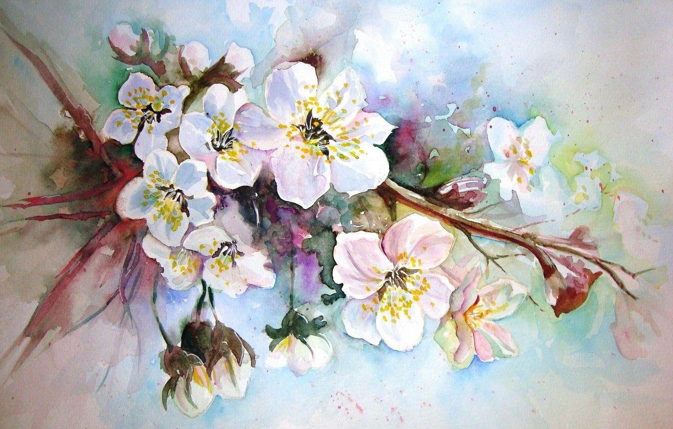 Spring Flower Painting Wallpapers - Top Free Spring Flower Painting ...