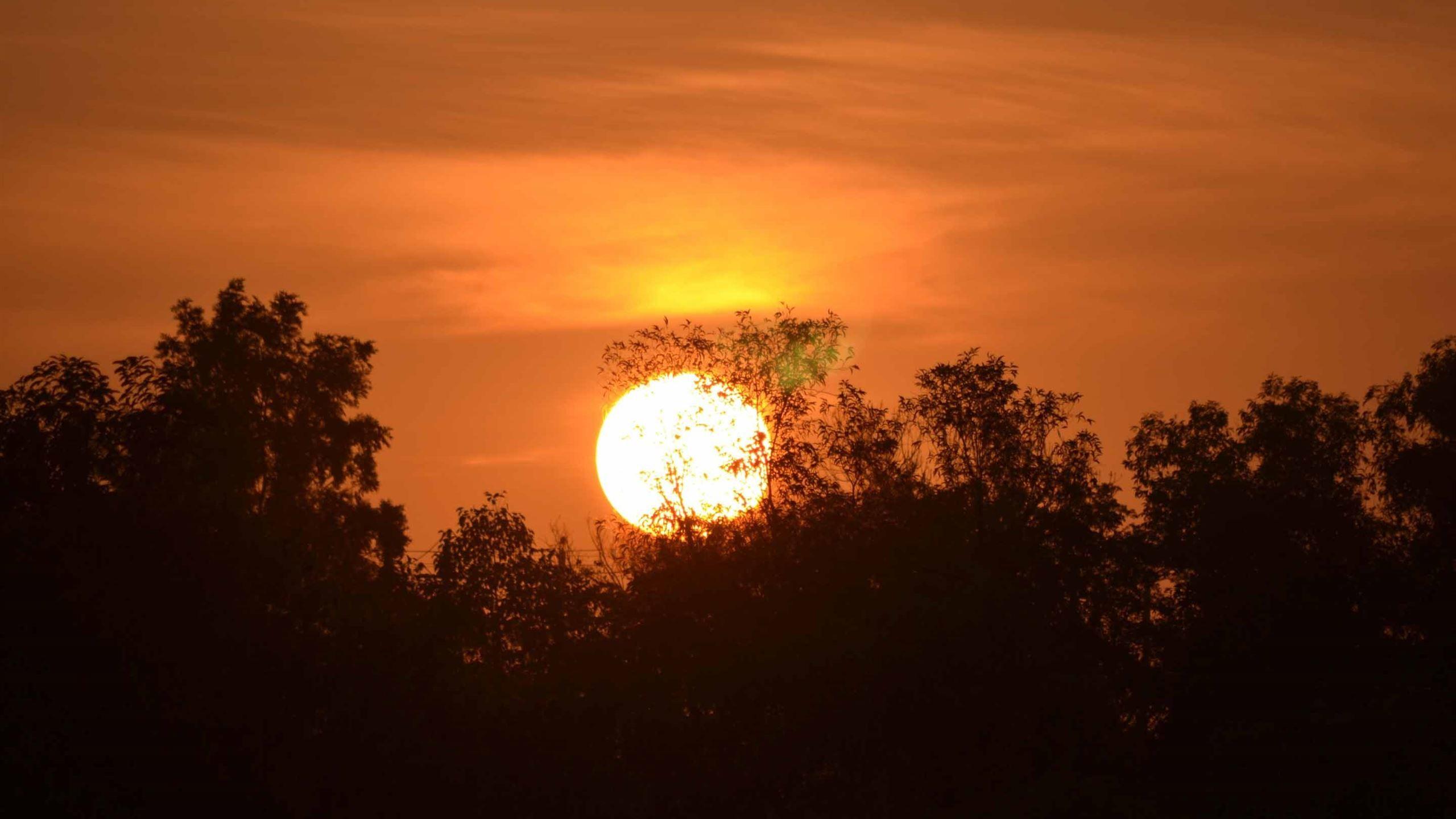 Nature Sun Wallpapers - Top Free Nature Sun Backgrounds - WallpaperAccess