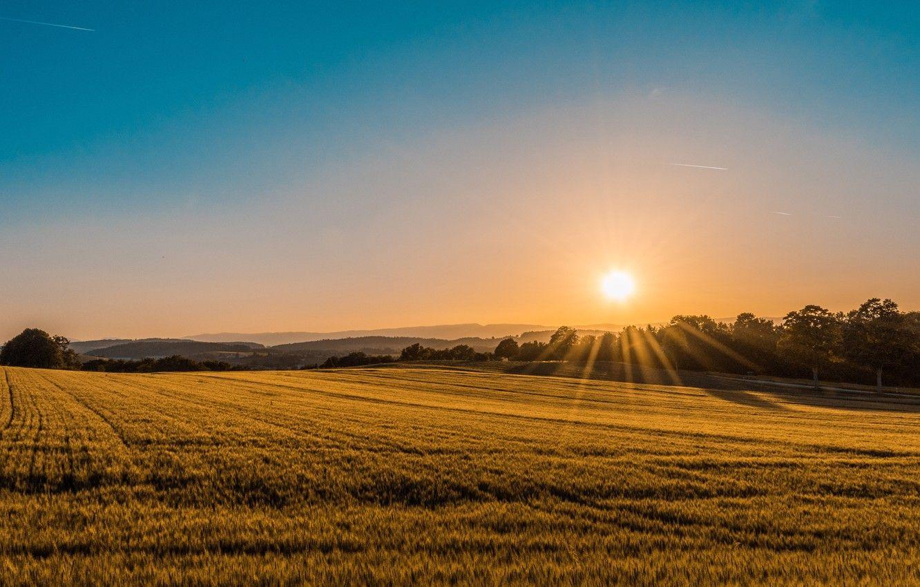 Nature Sun Wallpapers - Top Free Nature Sun Backgrounds - WallpaperAccess