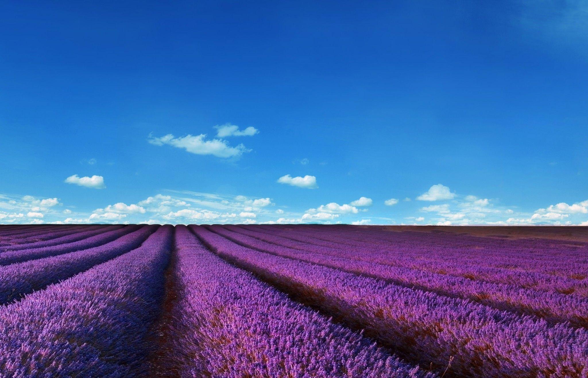 Lavender Sky Wallpapers - Top Free Lavender Sky Backgrounds ...