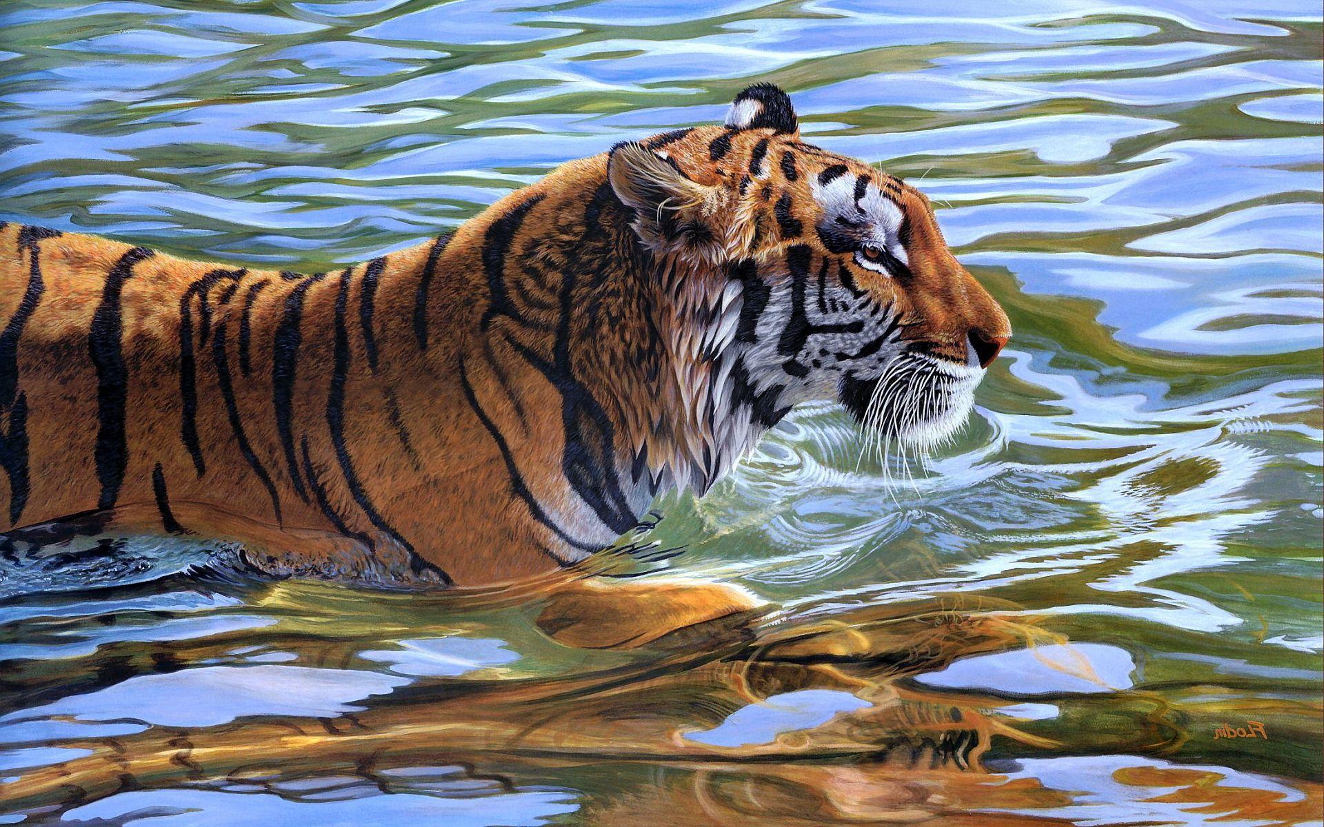 Tiger in Water Wallpapers - Top Free Tiger in Water Backgrounds ...