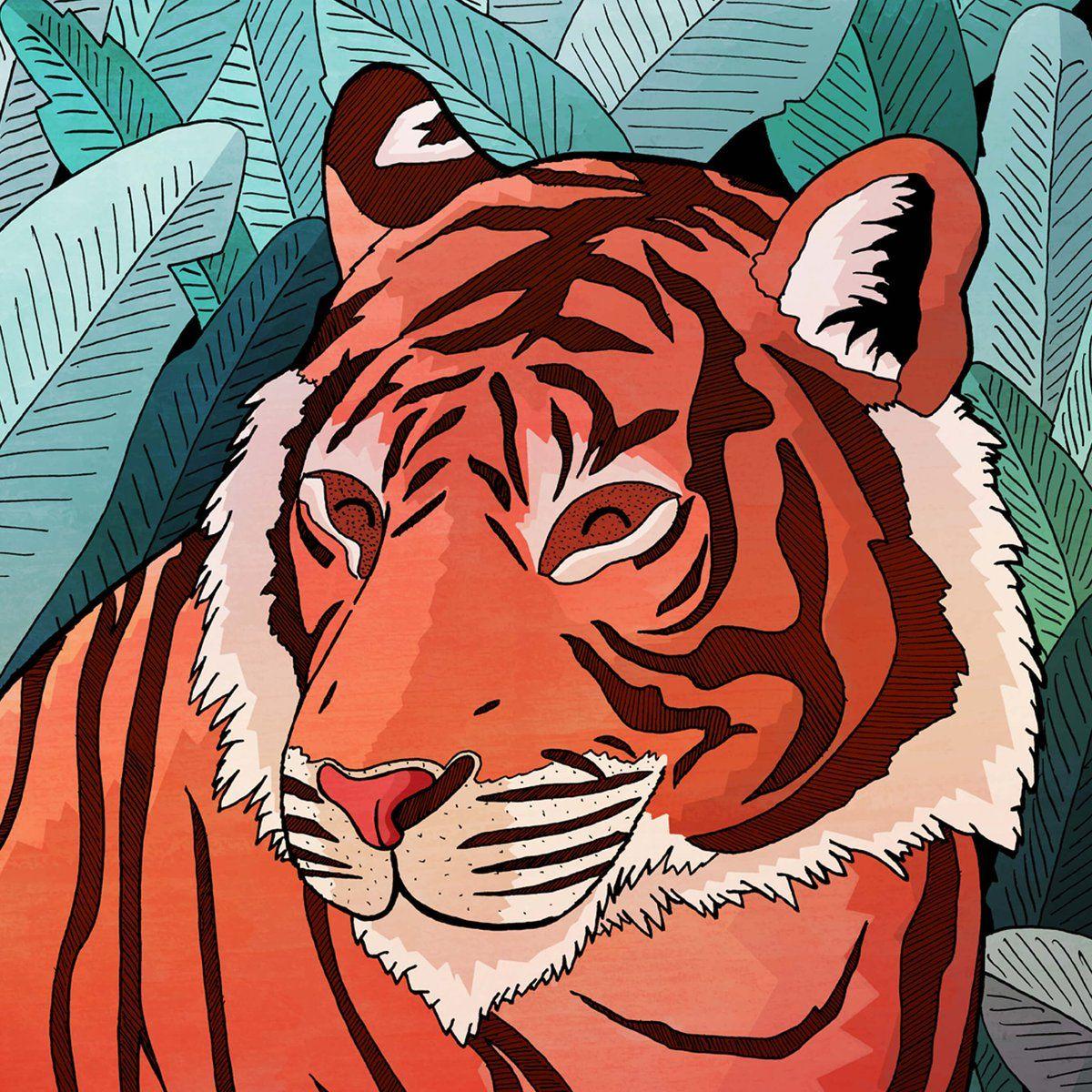 Ice Tiger Wallpapers - Top Free Ice Tiger Backgrounds - WallpaperAccess