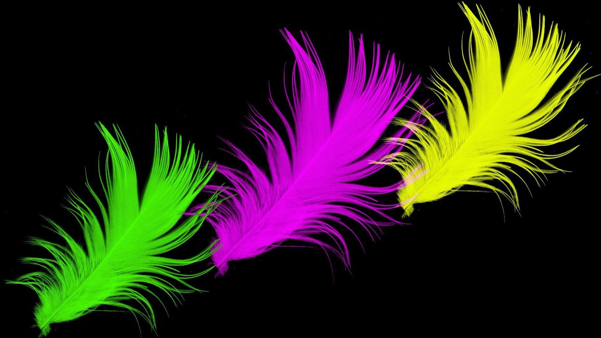 Neon Feather Wallpapers - Top Free Neon Feather Backgrounds ...