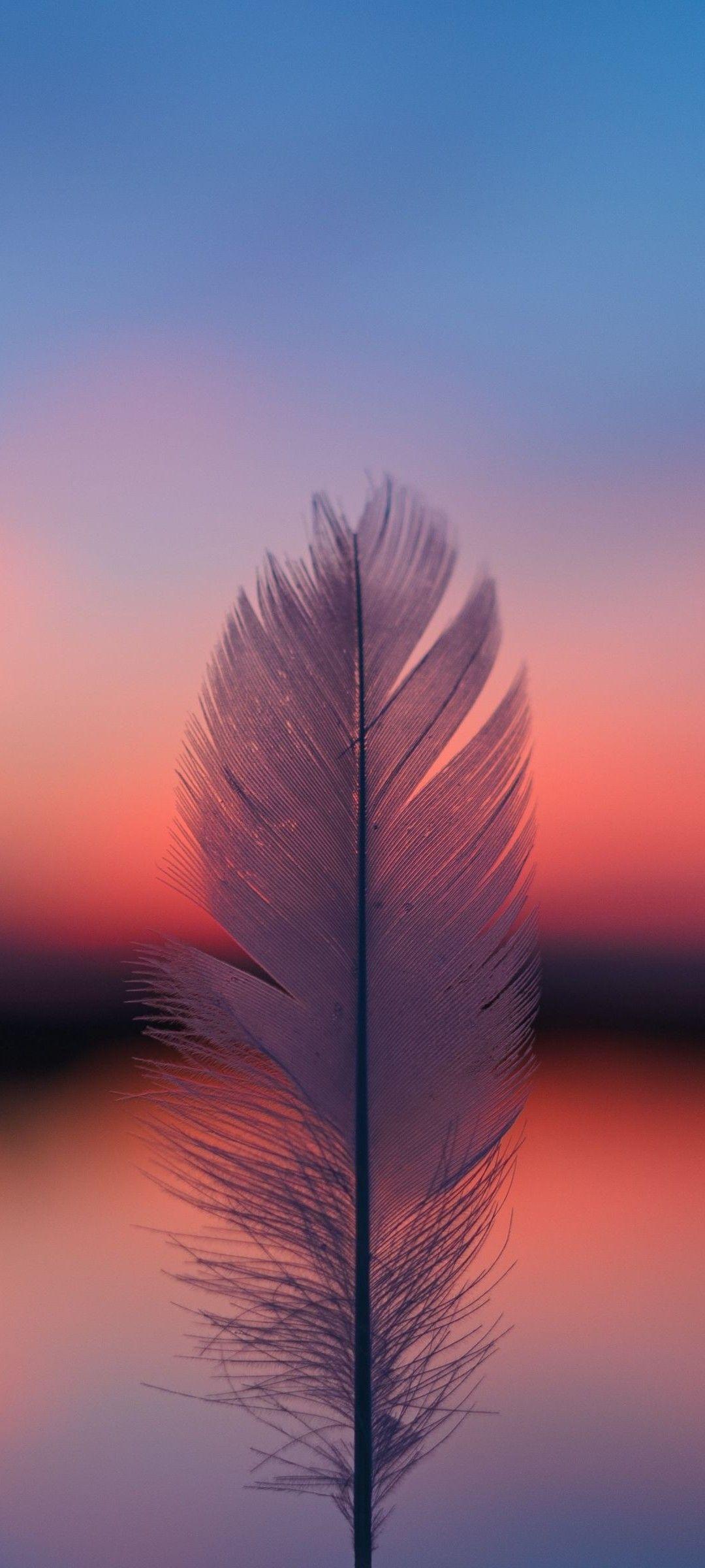 Feather Phone Wallpapers - Top Free Feather Phone Backgrounds ...