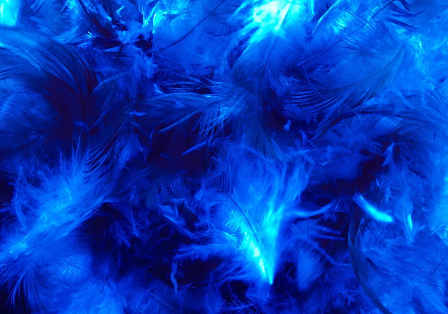Neon Feather Wallpapers - Top Free Neon Feather Backgrounds ...