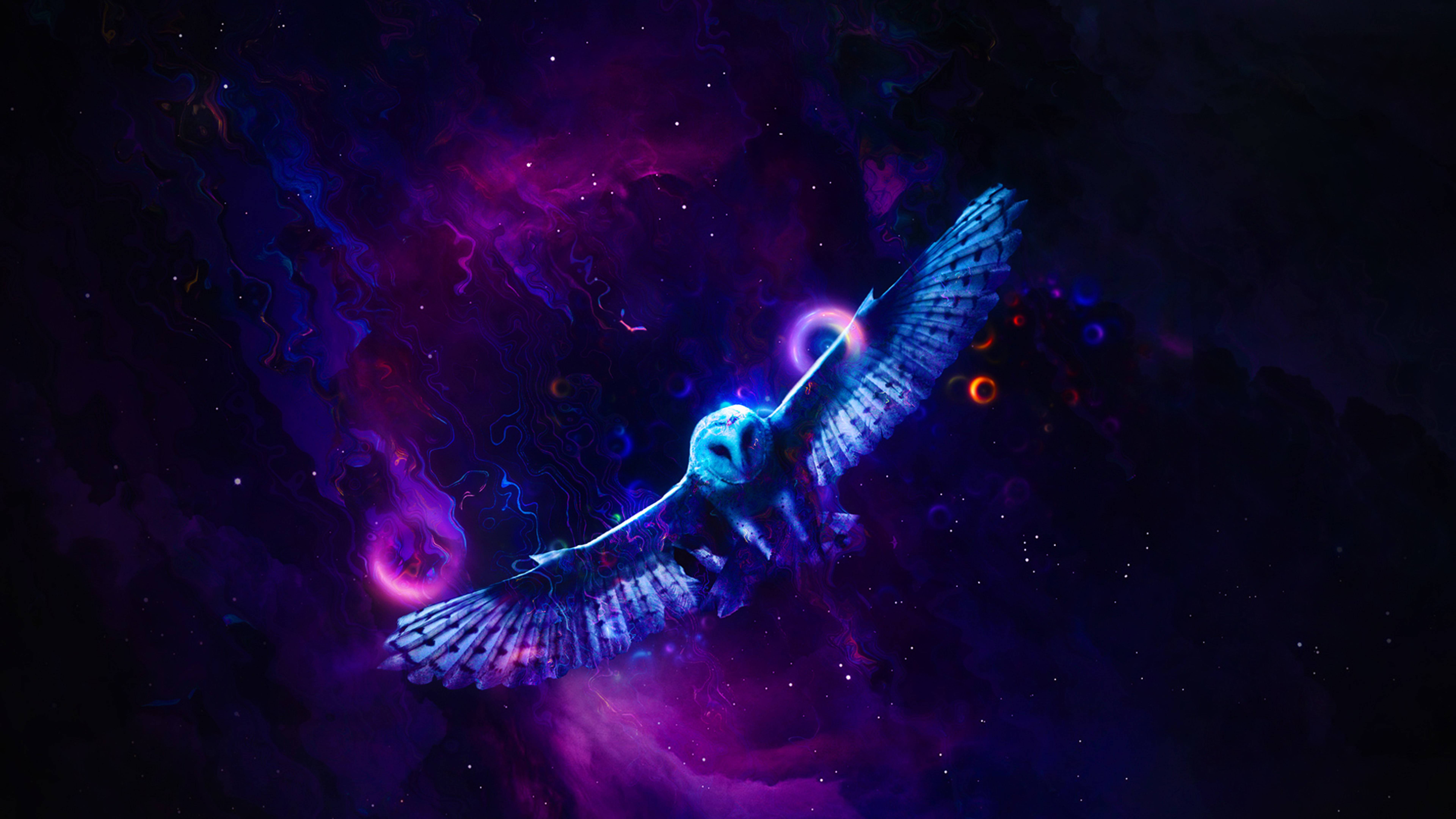 Neon Feather Wallpapers - Top Free Neon Feather Backgrounds ...