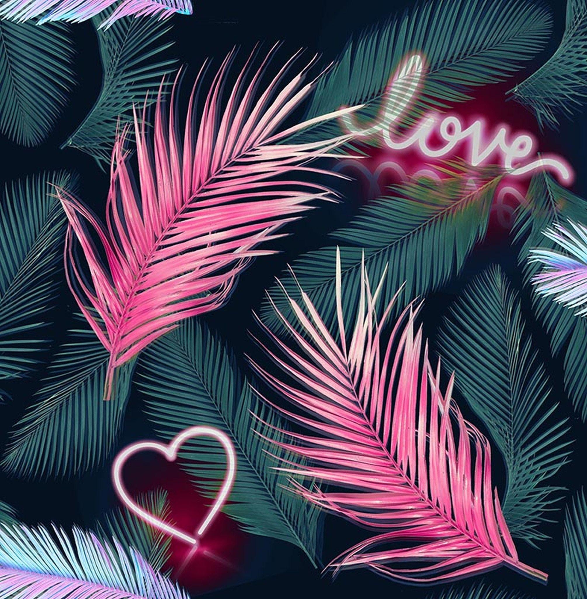 Neon Feather Wallpapers - Top Free Neon Feather Backgrounds ...