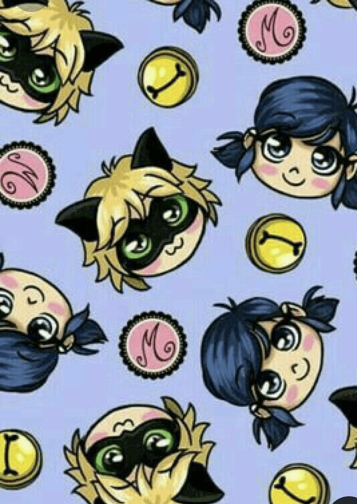 Miraculous Ladybug Adrien Wallpapers - Top Free Miraculous Ladybug ...