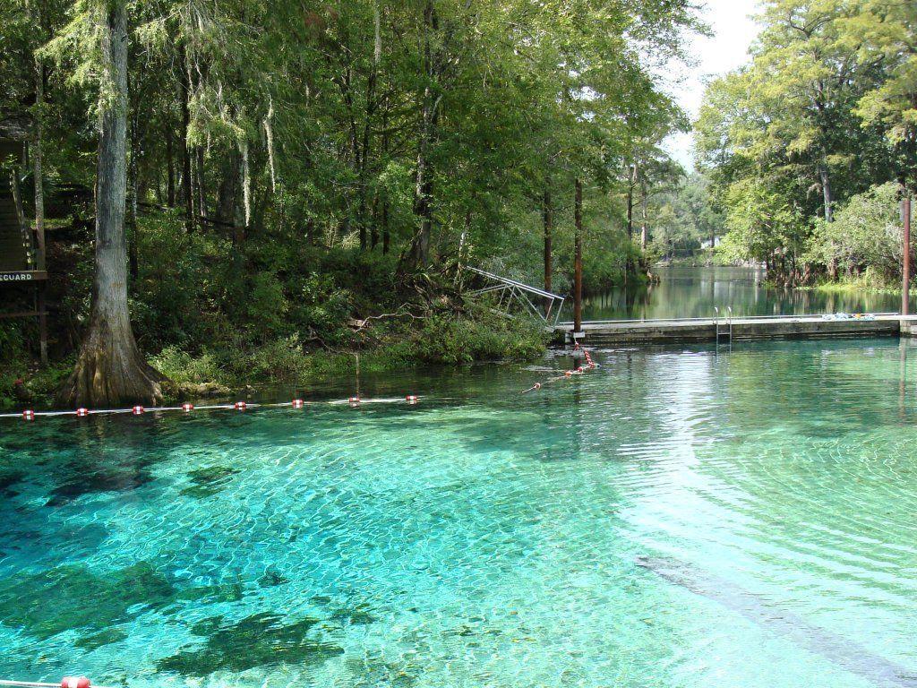 Florida Spring Wallpapers - Top Free Florida Spring Backgrounds ...