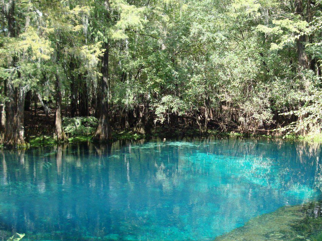 Florida Spring Wallpapers - Top Free Florida Spring Backgrounds ...