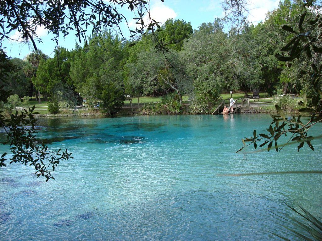 Florida Spring Wallpapers - Top Free Florida Spring Backgrounds ...