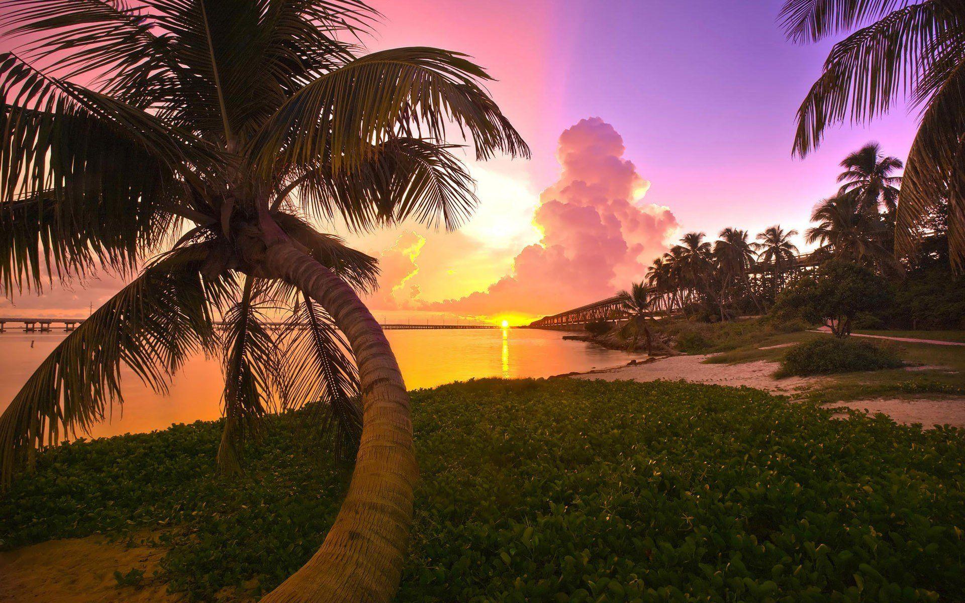Boardwalk at Sunset Wallpapers - Top Free Boardwalk at Sunset ...