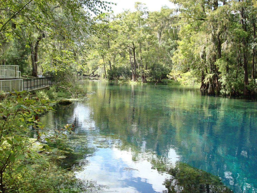 Florida Spring Wallpapers - Top Free Florida Spring Backgrounds ...