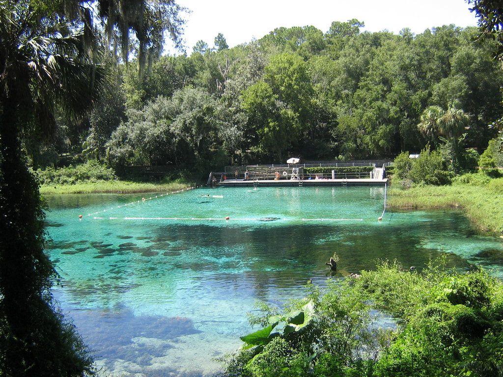 Florida Spring Wallpapers - Top Free Florida Spring Backgrounds ...