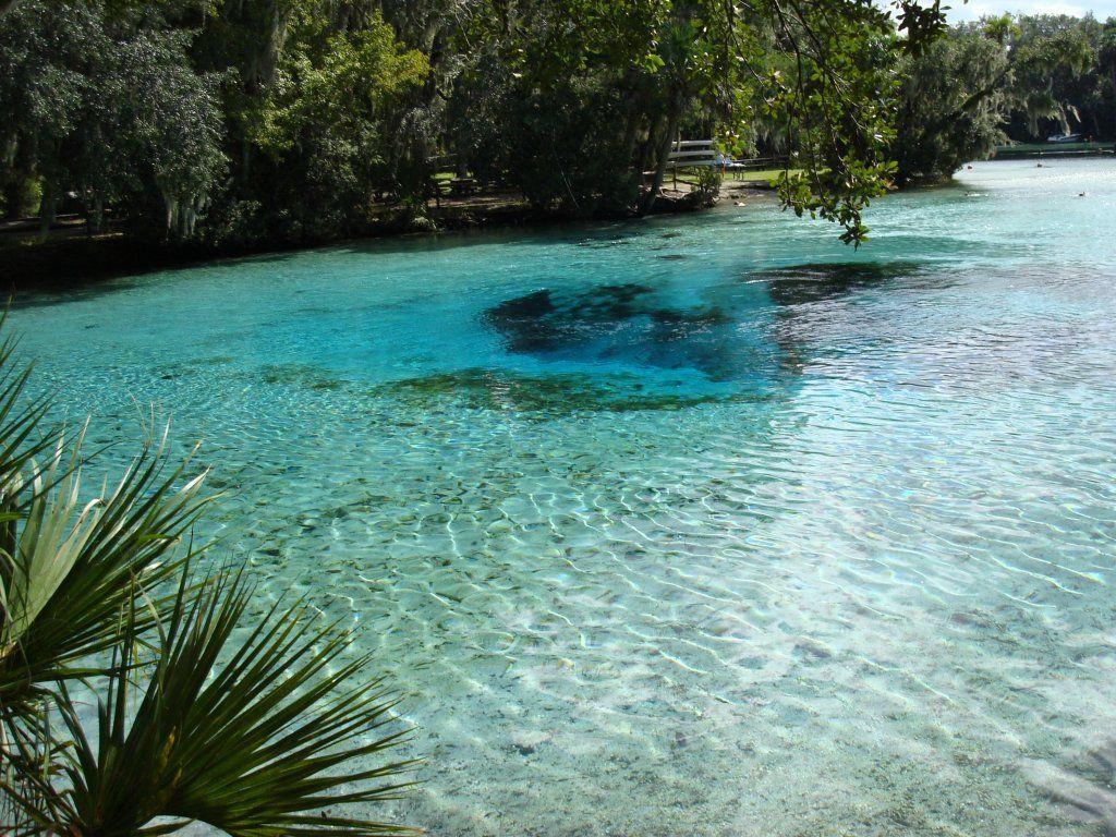 Florida Spring Wallpapers - Top Free Florida Spring Backgrounds ...