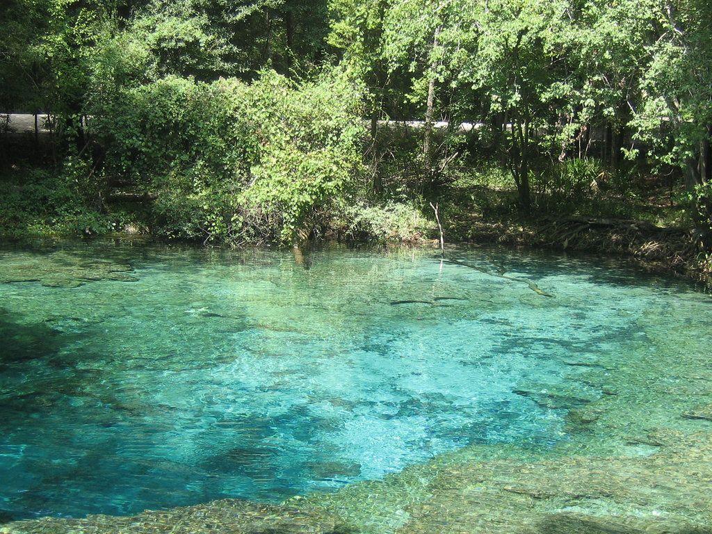 Florida Spring Wallpapers - Top Free Florida Spring Backgrounds ...